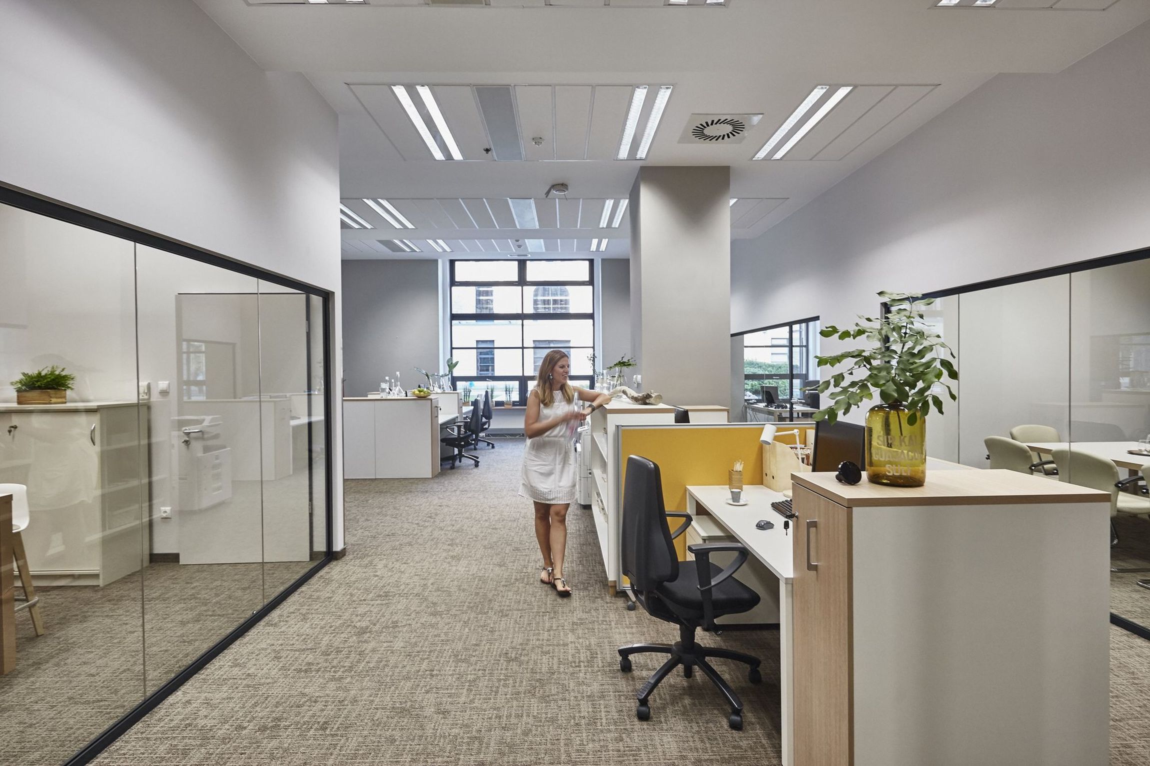 Open Air – Interior Architecture for Wild Office - lab5